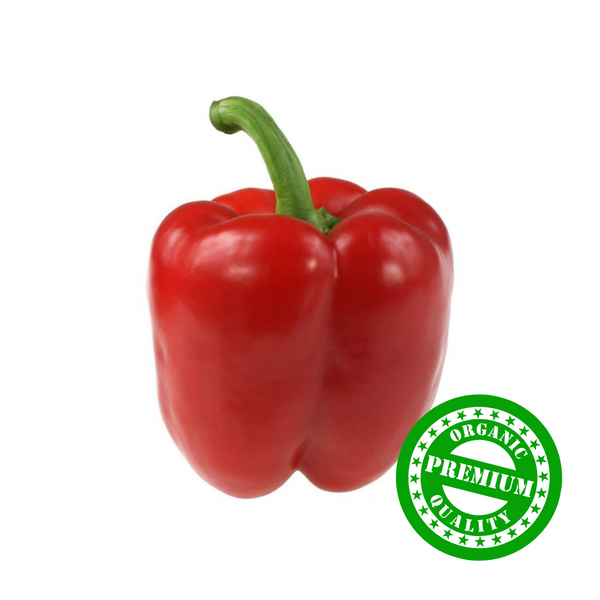 Organic Red Capsicum | Lada Benggala Merah Organik – Veggies.my