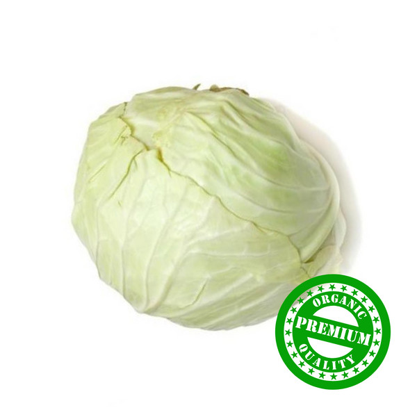Organic Round Cabbage | Kobis Bulat Organik – Veggies.my