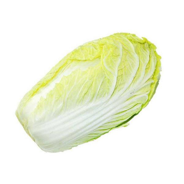 Chinese Cabbage (China) | Kubis Cina (China) – Veggies.my